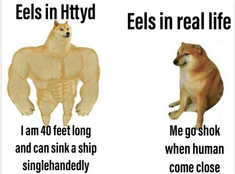 Httyd Eels Aint No Busta R Memes