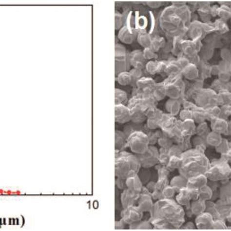 Pore Size Distribution A And Cross Section Morphology B Of The Disc Download Scientific