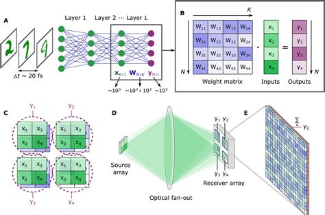 single shot optical neural network science advances