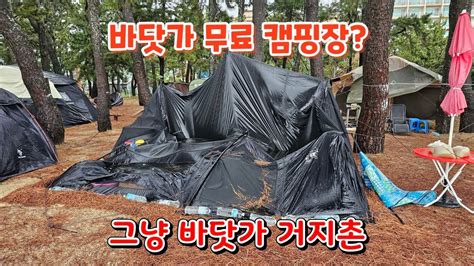 바닷가 무료 캠핑장 보성 율포해수욕장 여긴 야영장인가 거지촌인가 쓰러진 불법장박 텐트들 Youtube