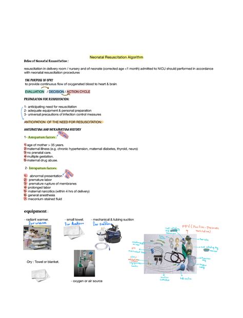4 Neonatal Resuscitation Algorithm By Hayam 💫 Neonatal Resuscitation