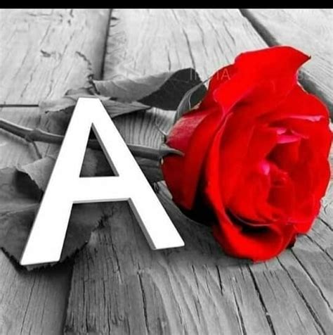 منتجات اون لاين