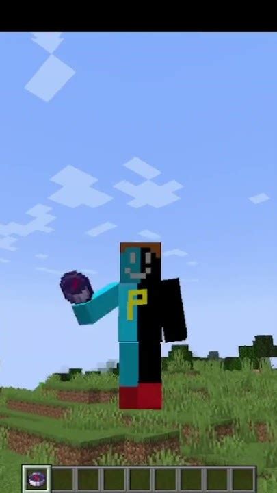 The Most Useless Block In Minecraft Shorts Minecraft Gaming New Palisadeofficial Youtube