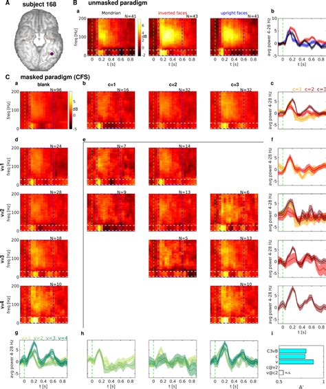 Figure S3 Spectral Power Responses In The Unmasked And Cfs Experiment