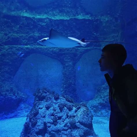 Stream Gerand Music Listen To Songs Albums Playlists For Free On