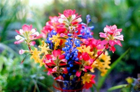 Стихове Мая Сотирова