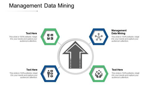 Management Data Mining Ppt Powerpoint Presentation Infographic Template Icon Cpb Presentation