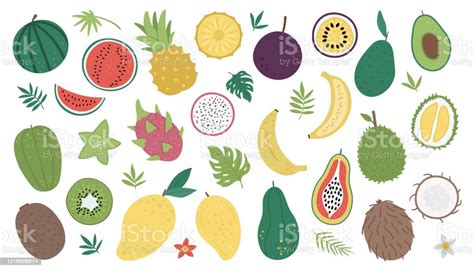 조각과 반쪽 클립 아트와 벡터 열대 과일과 열매 정글 단풍 그림입니다 흰색 배경에 고립 된 손으로 그린 평면 이국적인 식물 밝은 유치한 건강한 여름 음식 일러스트레이션입니다
