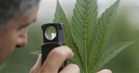 Science Album On Imgur