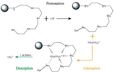 Efficient Uranium Removal From Aqueous Solutions Using Silica Based Adsorbents Functionalized