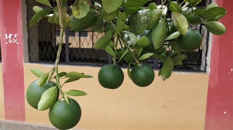 සොබාදහමයි ඔබයි සොබාදහමයි ඔබයි Added A New Photo