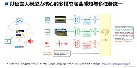 视频理解多模态大模型 大模型基础、微调、视频理解基础 Csdn博客