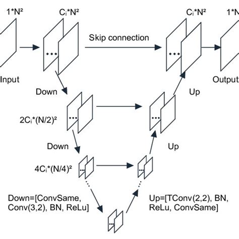 Structure Of The Cnn The Network Consists Of Sequential Downsampling Download Scientific