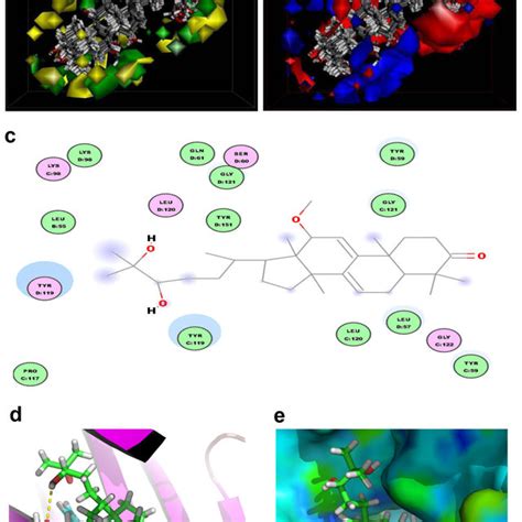3d Qsar Model And Docking Analysis A 3d Qsar Model Coefficients Of Download Scientific