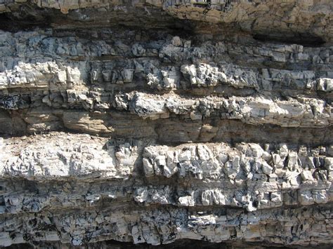 Microfossils And The World Of Chalk And Chert Geoexpro