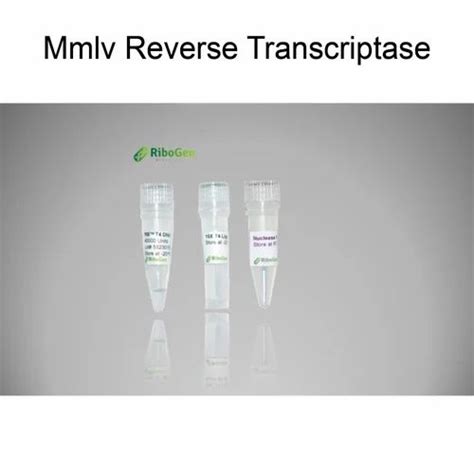 Mmlv Reverse Transcriptase At Rs 3000piece In Salem Id 2853867225230