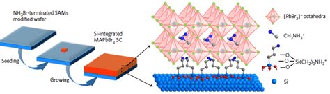Featured Technology Highly Sensitive Silicon Integrated Perovskite X