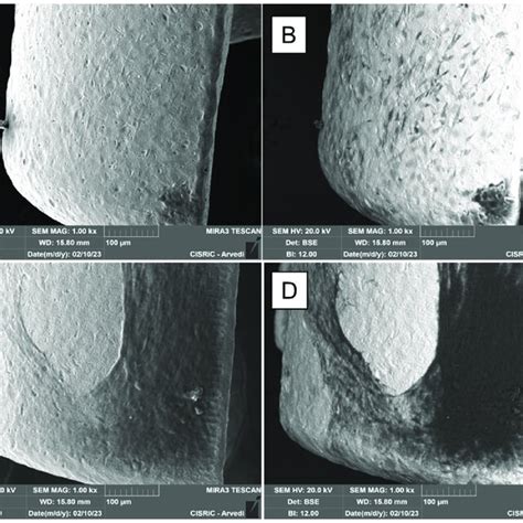 Sem Images Taken With The Scattered Electron Detector Se And The