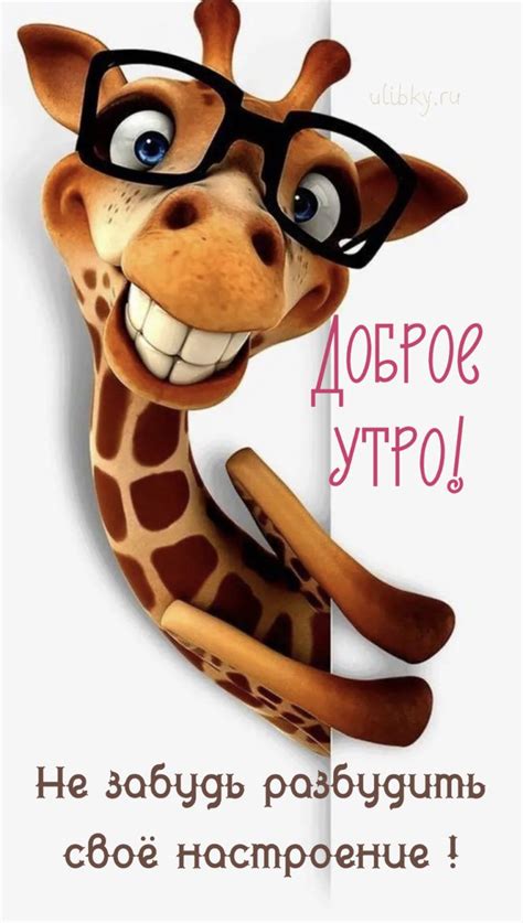 С добрым утром позитивные новые картинки 38 ФОТО Giraffe Art Funny Giraffe Funny Wallpaper