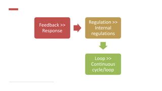 Feedback Regulation Loop Feedback Mechanism Positive And Negative Feedback Loop Pptx
