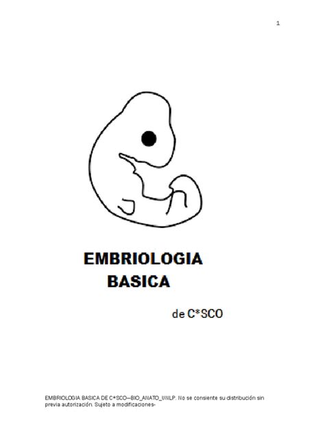 Embriologia Basica Pdf