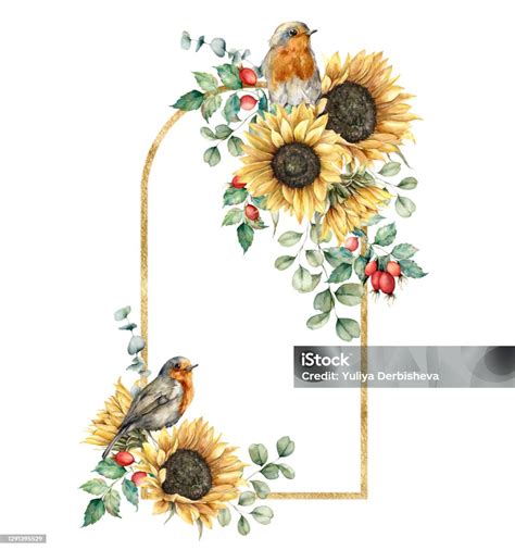 붉은 가슴살 해바라기 열매 유칼립투스 잎이 있는 수채화 가을 골드 프레임 흰색 배경에 격리 된 손으로 그린 테두리 디자인 인쇄 직물 또는 배경에 대한 플로럴 일러스트레이션