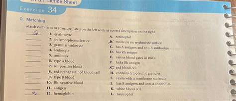 solved exercise 34c ﻿matchingmatch each term or structure