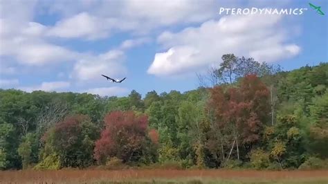 Alexander Akiode Posted On Linkedin