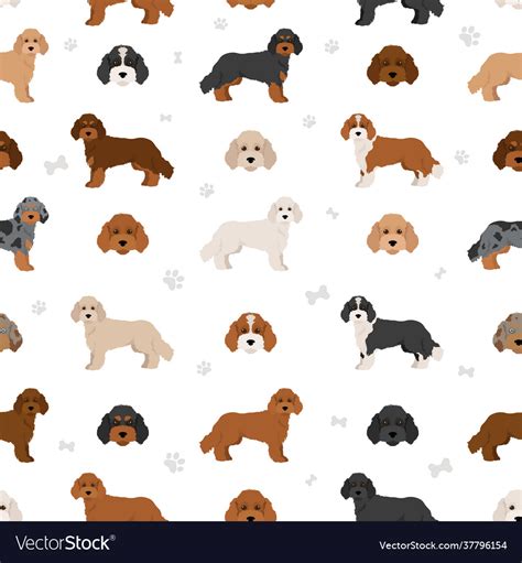 Cockapoo Mix Breed Seamless Pattern Different Vector Image