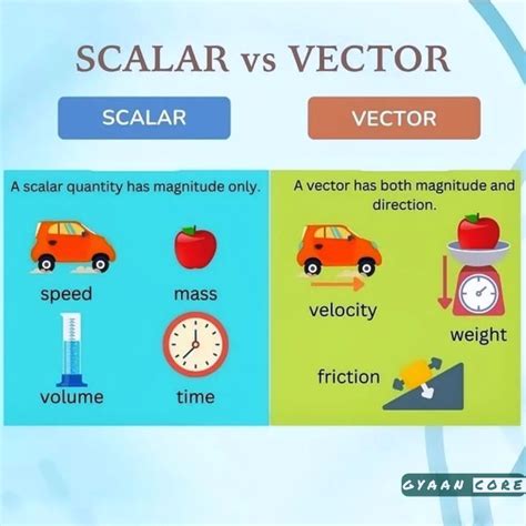 Scalars Vs Vectors Examples Youll See Everyday Scalar Vector