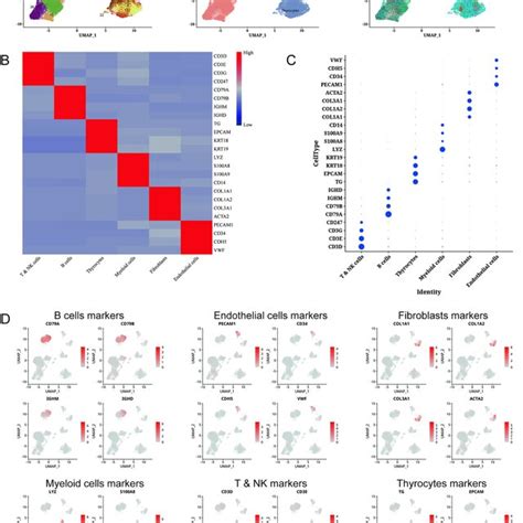 A Dimensional Cluster Analysis Of Single Cell Sequencing Data From Download Scientific Diagram