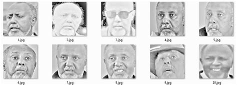 14 Local Database Images Filtered With Multi Scale Retinex Download