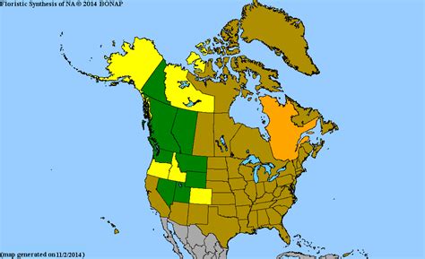 2013 Bonap North American Plant Atlas Taxonmaps