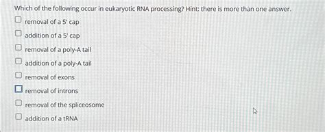 Solved Which Of The Following Occur In Eukaryotic Rna
