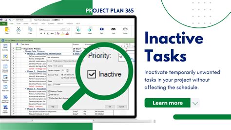 Inactive Task Project Plan