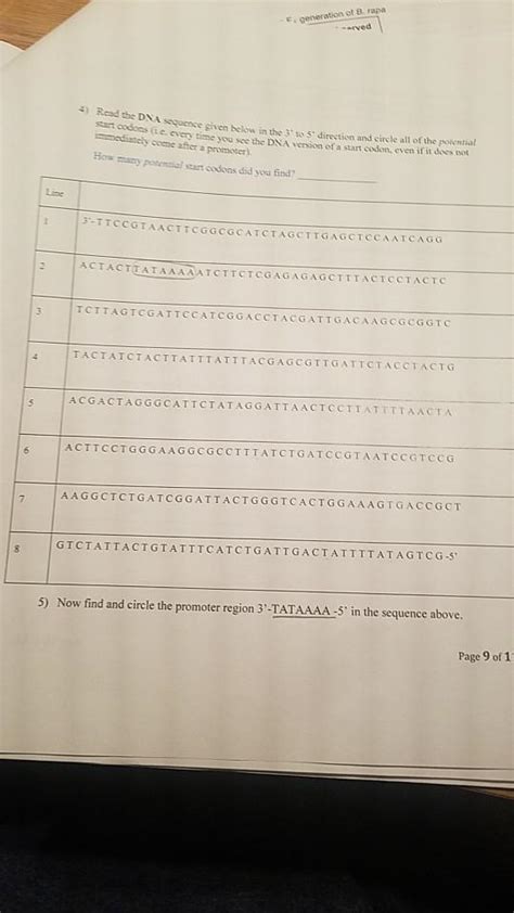 Solved Read The DNA Sequence Given Below In The Chegg