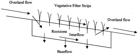 Conceptualized ¯owpaths In Vegetative Filter Strips Download Scientific Diagram