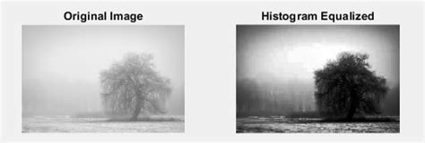 GitHub Goytom MatlabProject Image Contrast Enhancement Using Matlab