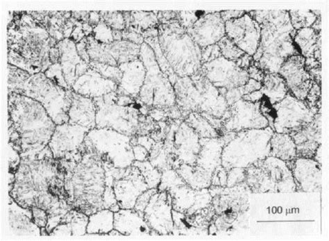 Austenite Microstructure