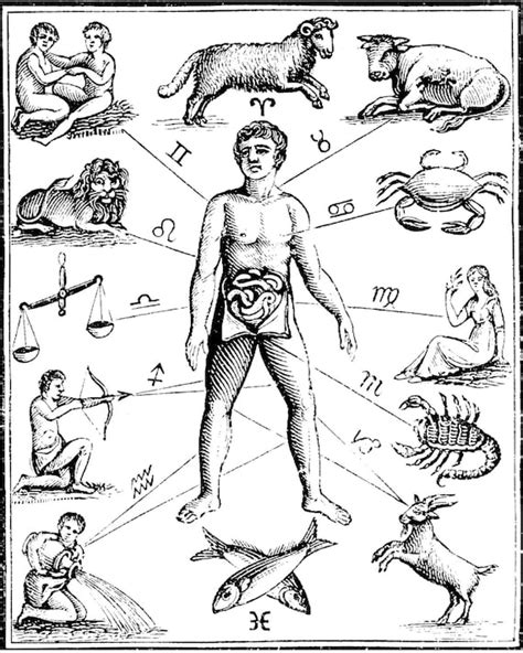 Sex And The Secret Nerve 🧵 The Number Twelve Is Significant In The