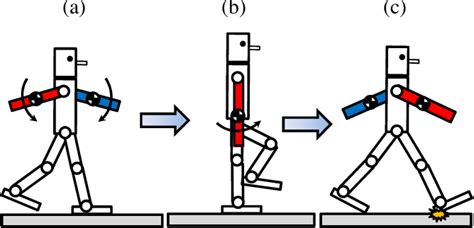 Figure 3 From High Speed Limit Cycle Walking For Biped Robots Using Active Up And Down Motion