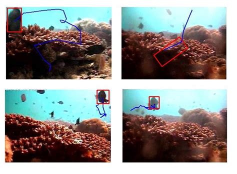 10 Examples Of Misclassified Unusual Trajectories Top And