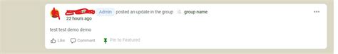 Buddypress Buddyboss Admin Or Moderator Label Show And Title Show