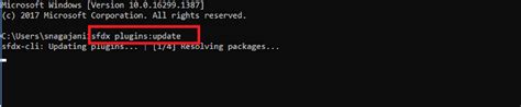 salesforce code crack introducing local development server for
