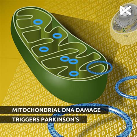 michal uhrinek on linkedin reaserches find a cause of parkinson s