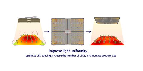 How We Evolve The Uniformity Of Led Grow Lights Koray Grow Light