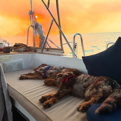 Sailing Doodles Sailingdoodles • Instagram Photos And Videos