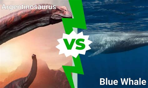 Argentinosaurus Vs Blue Whale Comparing The Size Of Two Giants A Z