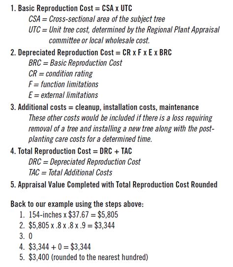 An Introduction To Tree Appraisal Tree Care Industry Magazine