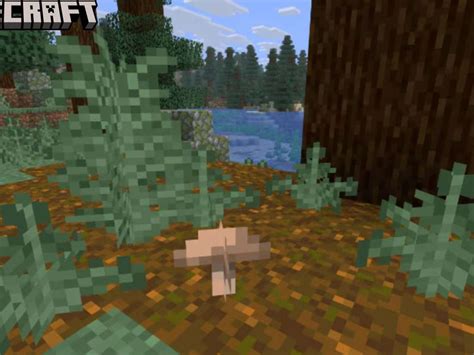 Minecraft 0x80004005 Error How To Fix